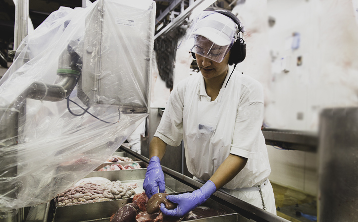 Meat Inspection – AsureQuality